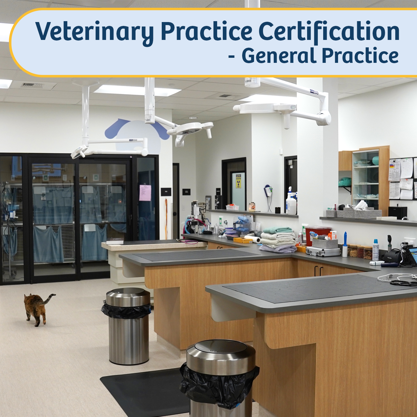 Veterinary Practice Certification - General Practice