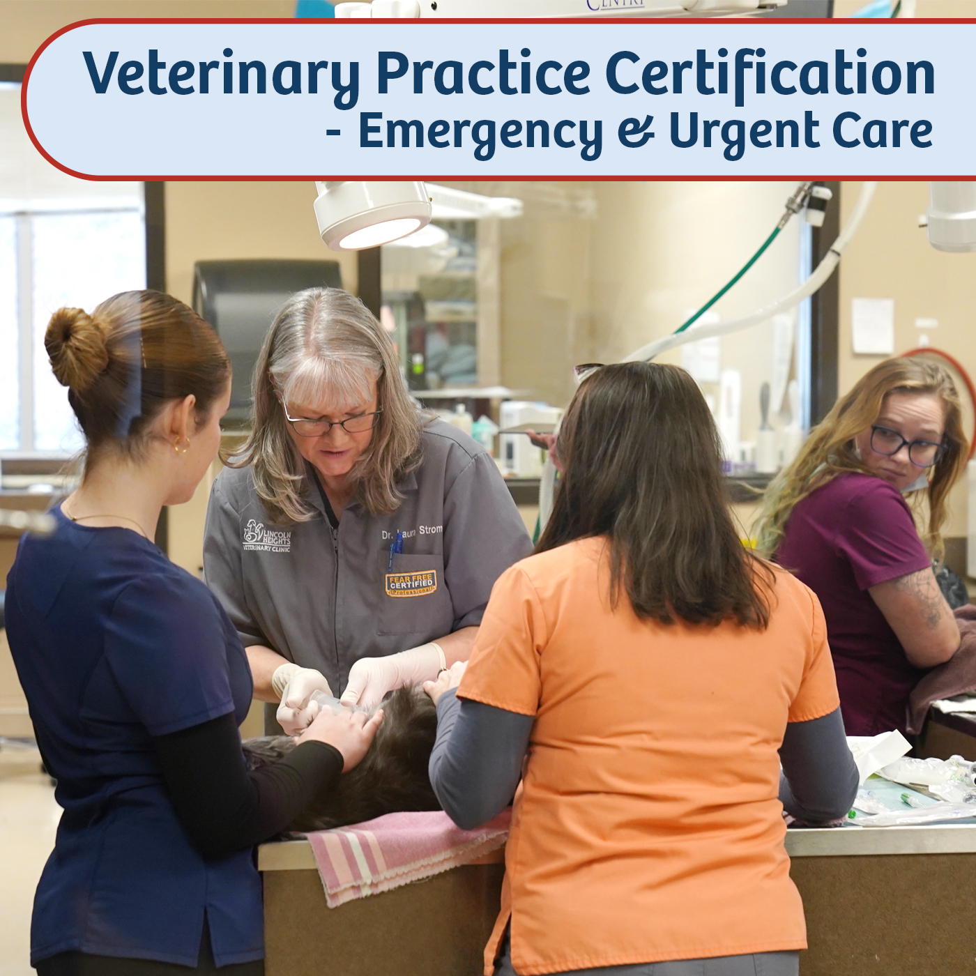 Veterinary Practice Certification - ER/Urgent Care